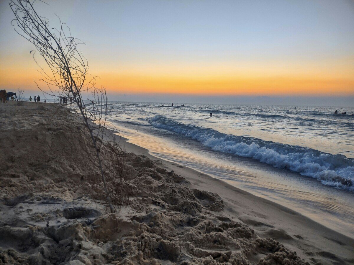 Your Guide for Summer in Michigan’s Harbor Country